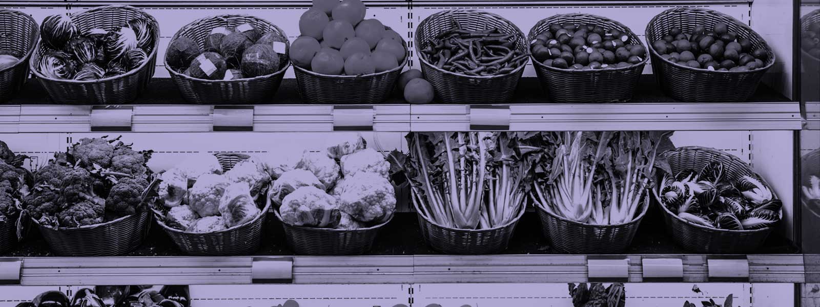 Food Safety & Integrity policy resources