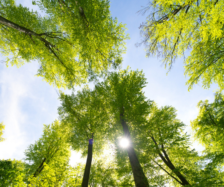 CIEH respond to the King’s Speech, urging the UK Government to ...