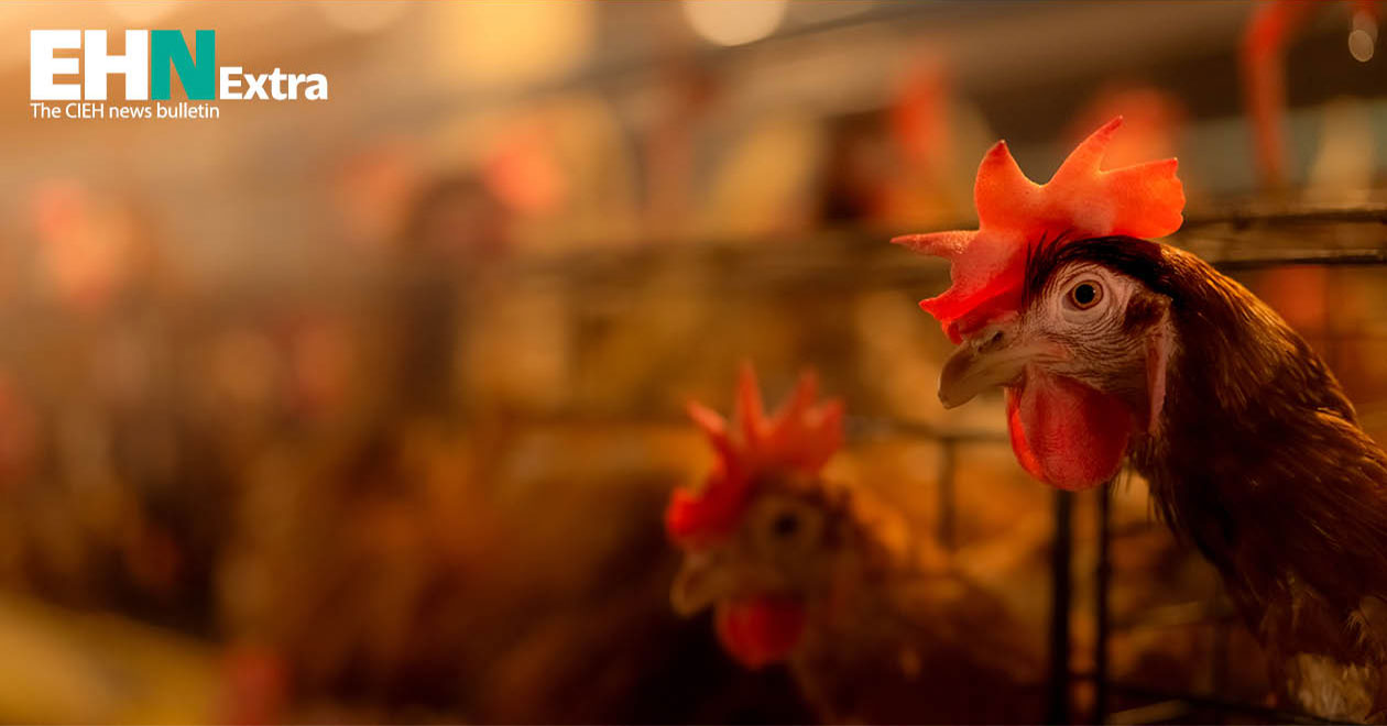 National Food Strategy part 2 is published