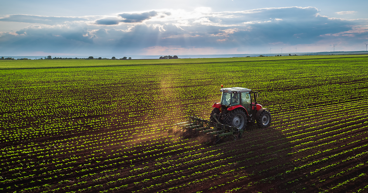 Plastic in farming poses risk to food safety