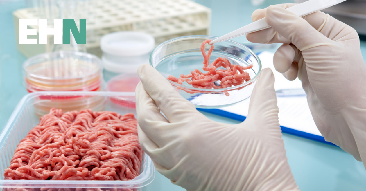 Hazardous chemicals in food packaging make harmful consequences ‘highly ...