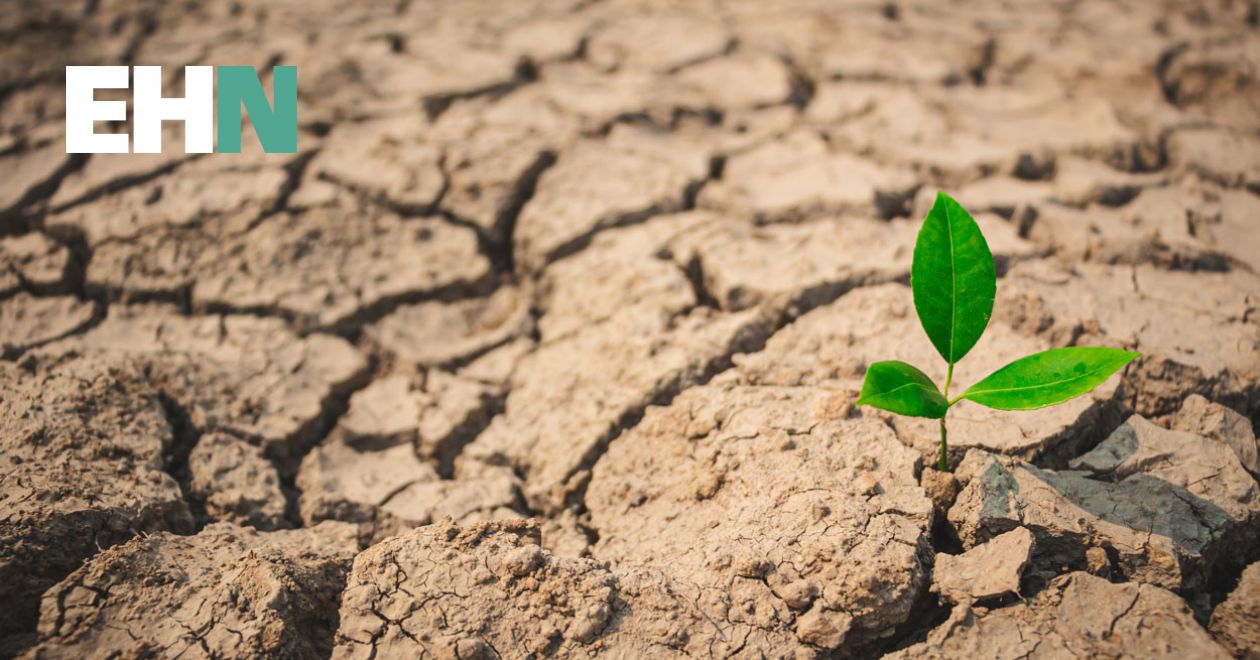 UK water environment in ‘critical state’ following drought