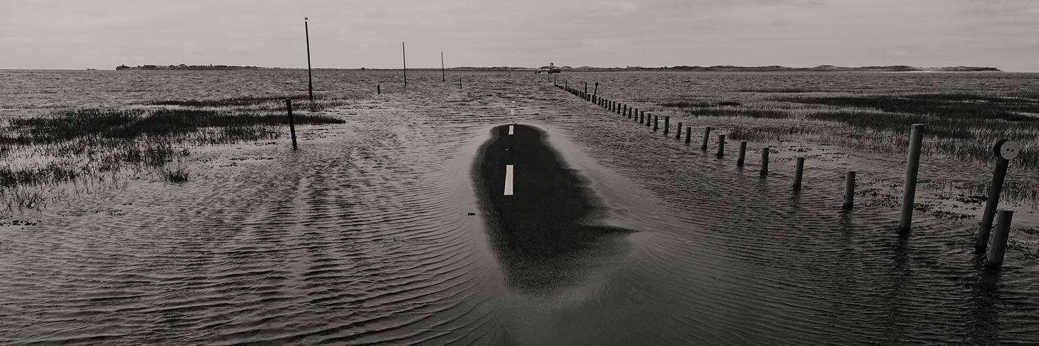 Climate change policy resources