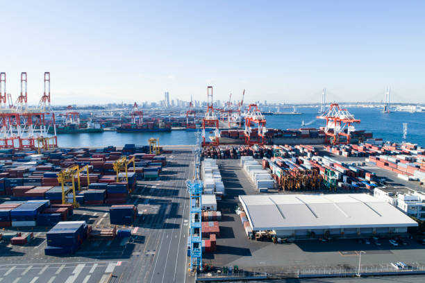 New Scheme For Import Controls Provides Opportunity For Enhanced Role new-scheme-for-import-controls-provides-opportunity-for-enhanced-role