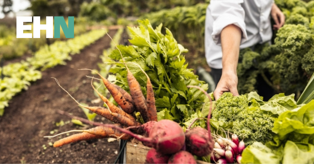 Food and agriculture should be at heart of tackling climate change