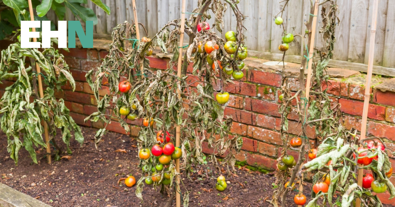 Food security under threat from climate change