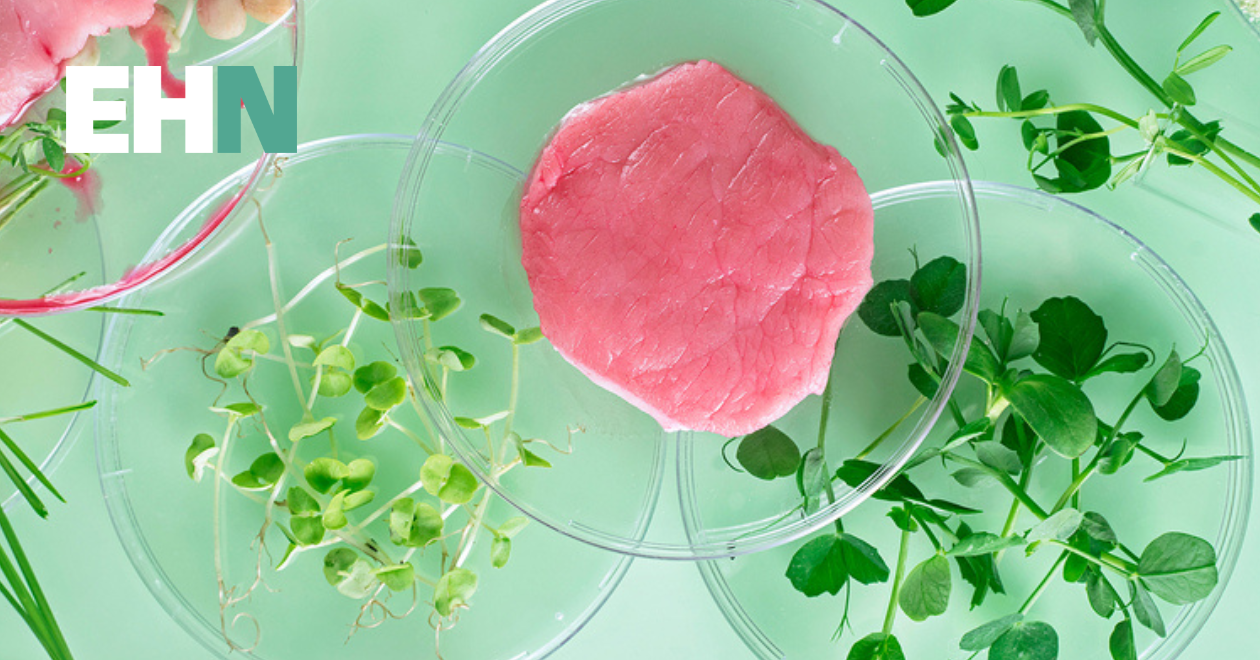 Alternative proteins could replace two thirds of animal proteins by 2050 Alternative proteins could replace two thirds of animal proteins by 2050