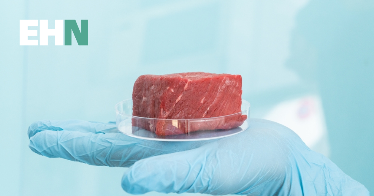 “World first” guidance issued on cell-cultivated meat