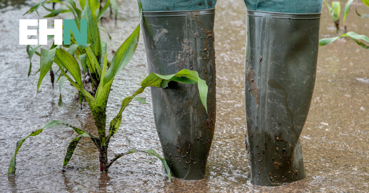 Study shows UK is vulnerable to future food crisis