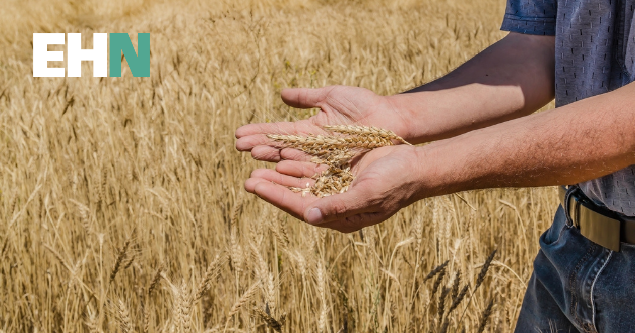 ‘Realities of climate change’ are hitting UK’s harvest
