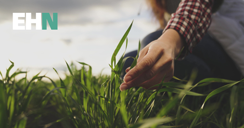 AIC calls for action to tackle UK’s ‘fragile’ food security
